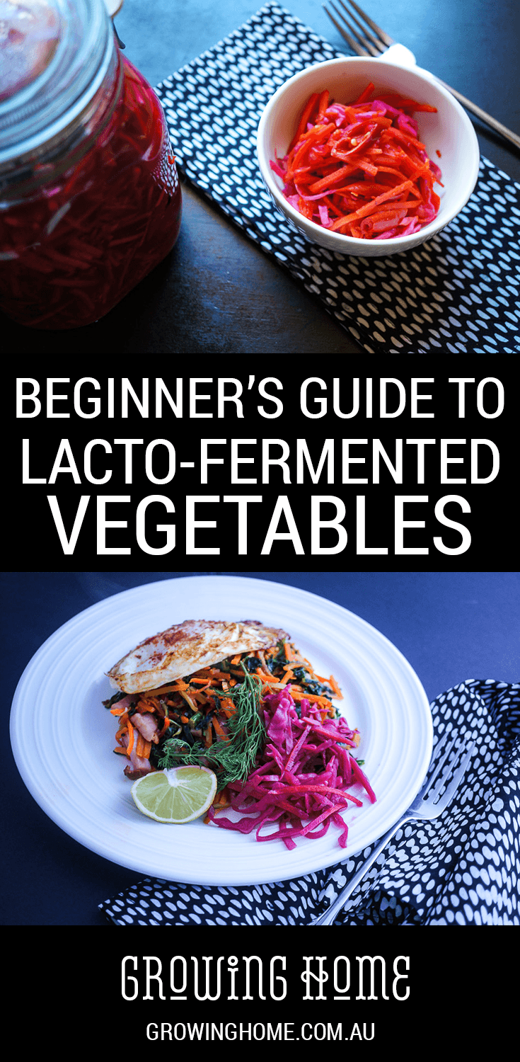 Beginner's Guide to Lacto-fermenting Vegetables | Growing Home ...