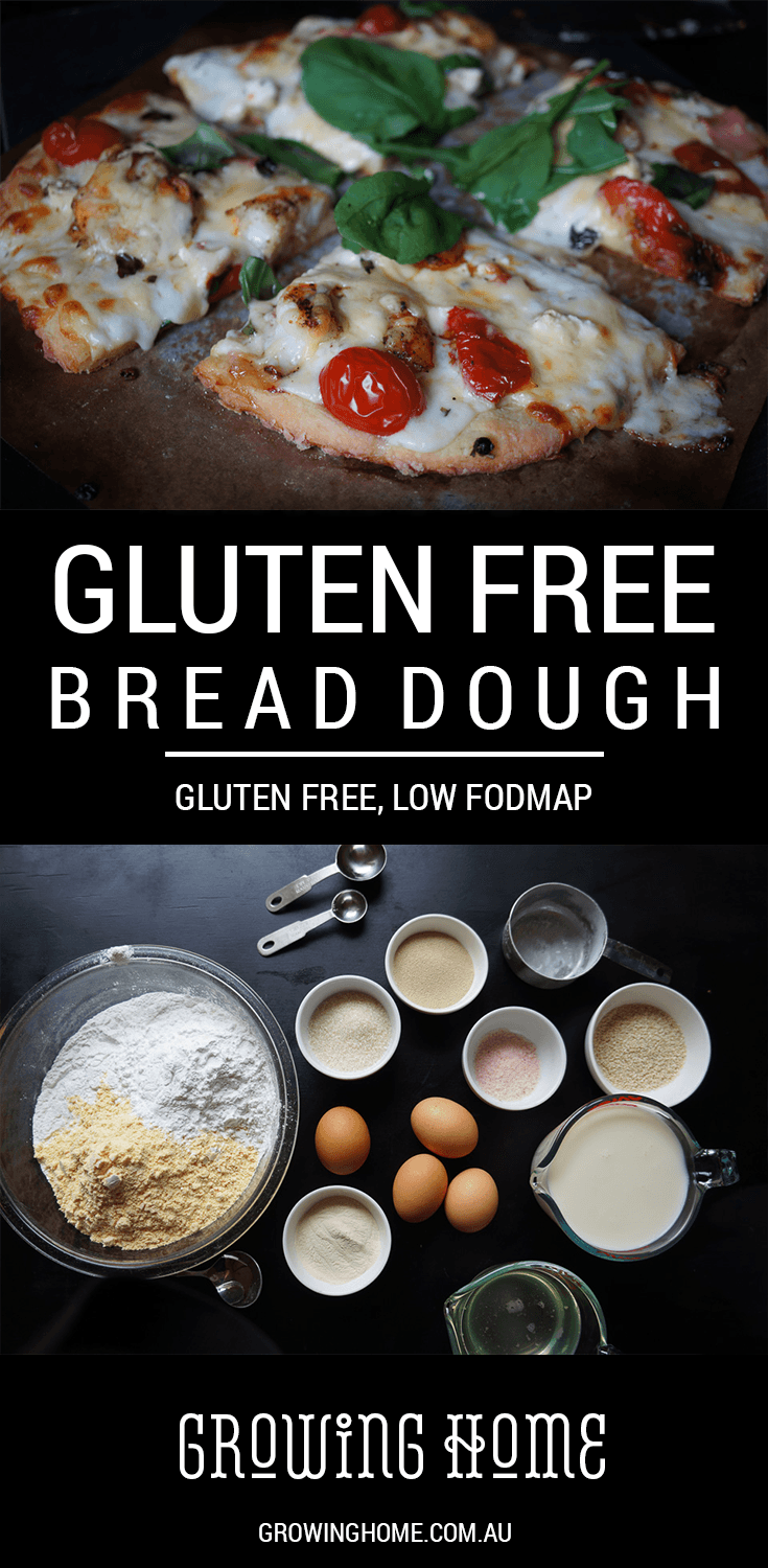 Multipurpose Bread Dough - Gluten Free, Low FODMAP - Growing Home ...